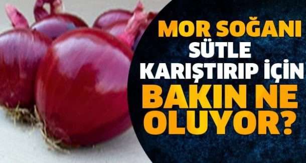Mor Soğanı Sütle Karıştırıp İçin! Bakın Neye İyi Geliyor! - Sağlık ...